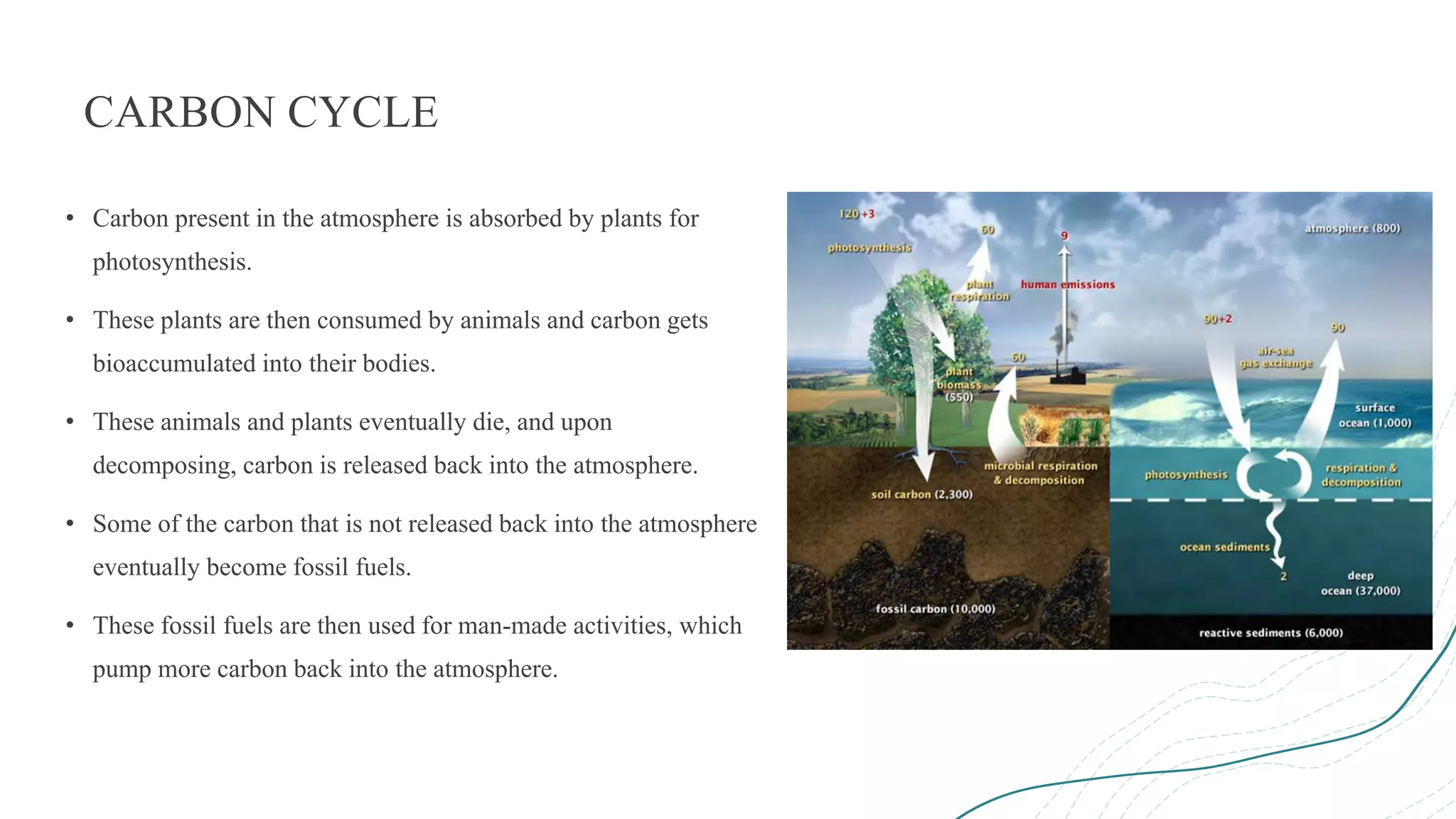 A historical Sketch of Biogeochemical Cycle | PPTX
