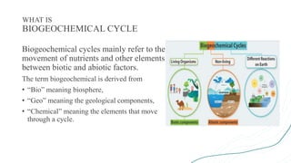 A historical Sketch of Biogeochemical Cycle | PPTX