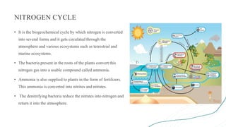A historical Sketch of Biogeochemical Cycle | PPTX