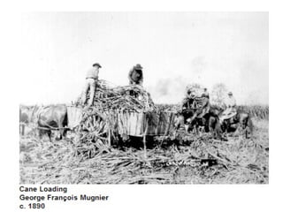 A history of lemonade | PPT