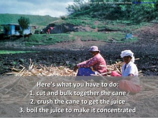 A history of lemonade | PPT