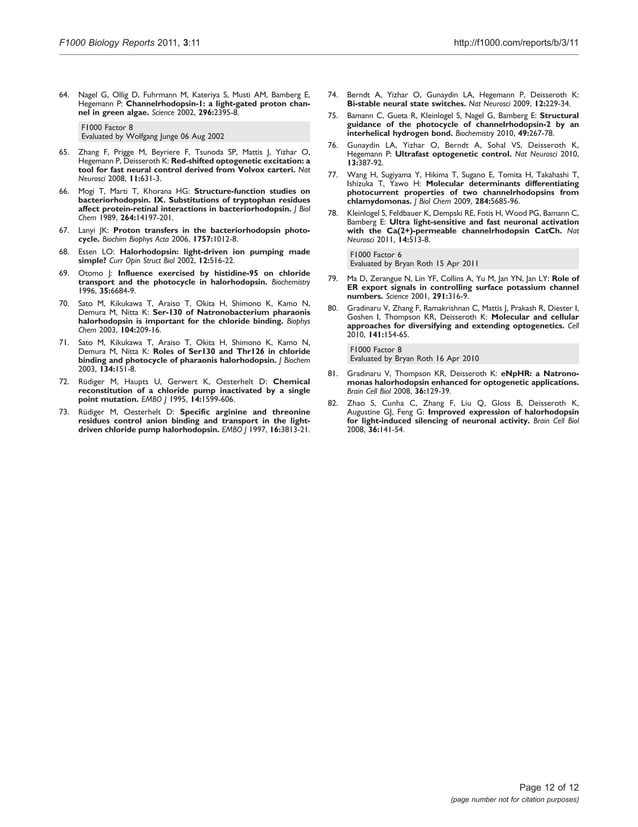 A history of optogenetics the development of tools for controlling ...