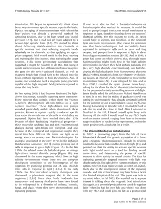A history of optogenetics the development of tools for controlling ...