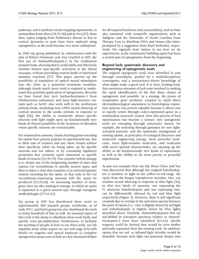 A history of optogenetics the development of tools for controlling ...