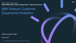IBM Watson Customer Experience Analytics | PPTX