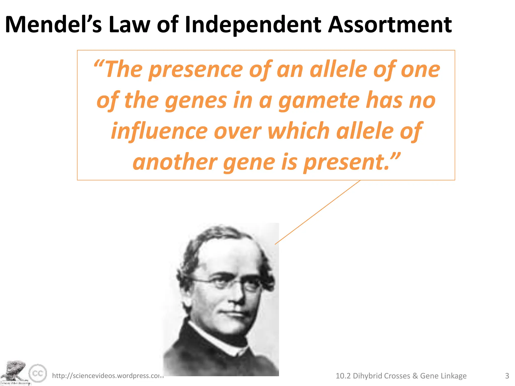 IB Biology AHL Inheritance Part 1- dihybrid crosses.pptx