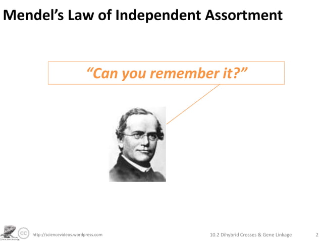 IB Biology AHL Inheritance Part 1- dihybrid crosses.pptx