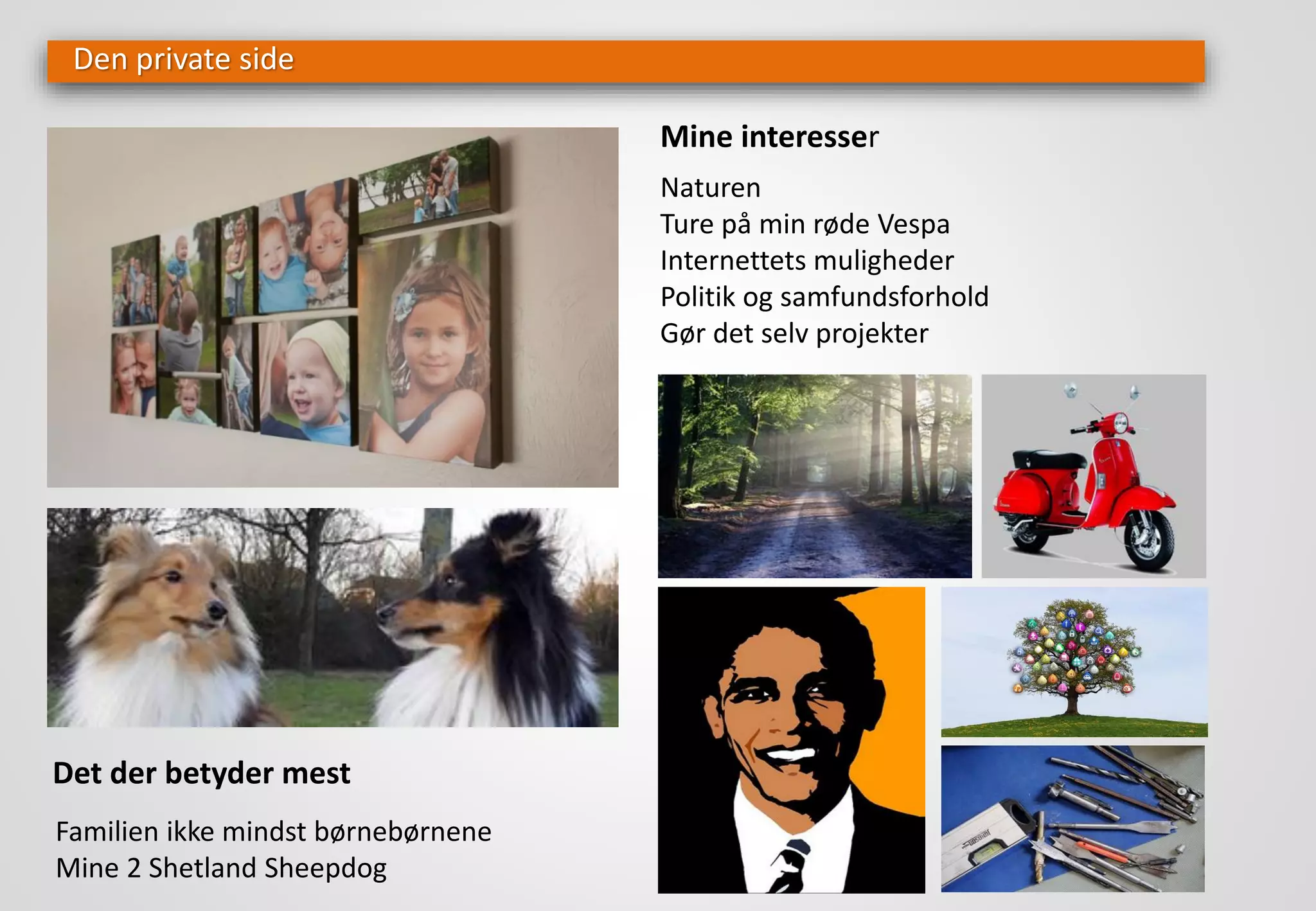 Ahl presentation | PPT