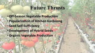 vegetables' production technologies in Pakistan | PPTX