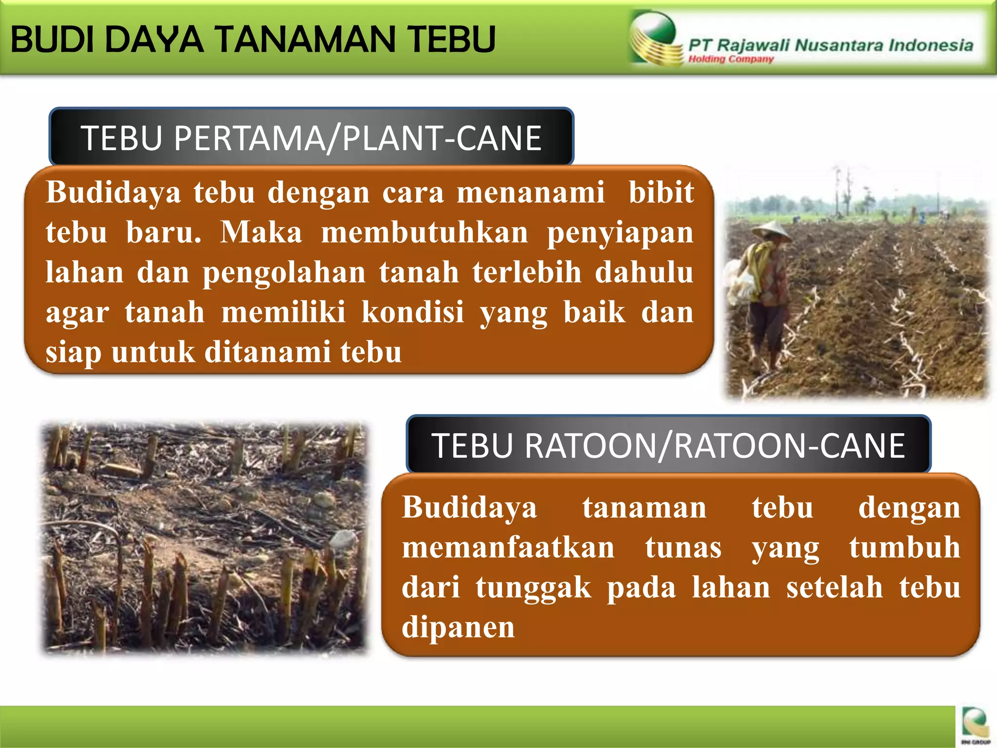 Presentasi Laporan Mekanisasi Tebu | PPTX