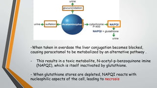 Poisoning in Pediatrics | PPTX