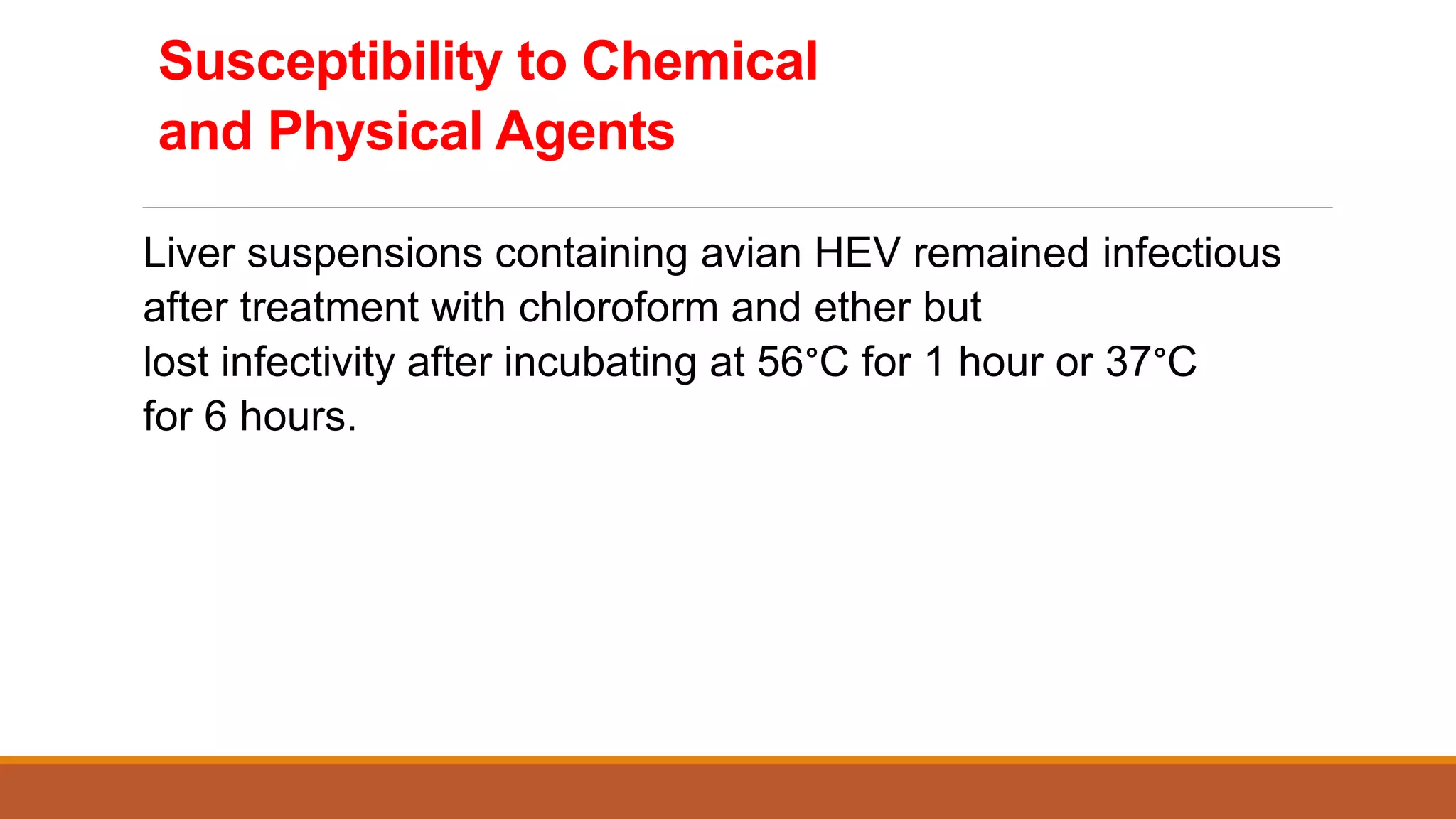 Hepatitis E virus infections in chicken | PPTX
