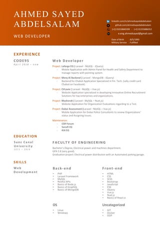 Ahmed Sayed Abdelsalam CV | PDF
