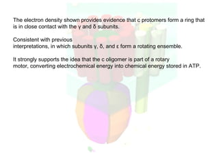 ATP-Synthase Presentation | PPT | Chemistry | Science