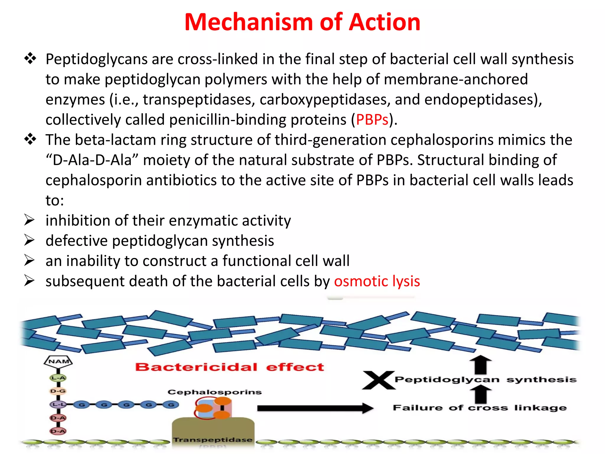 Third generation cephalosporins | PDF