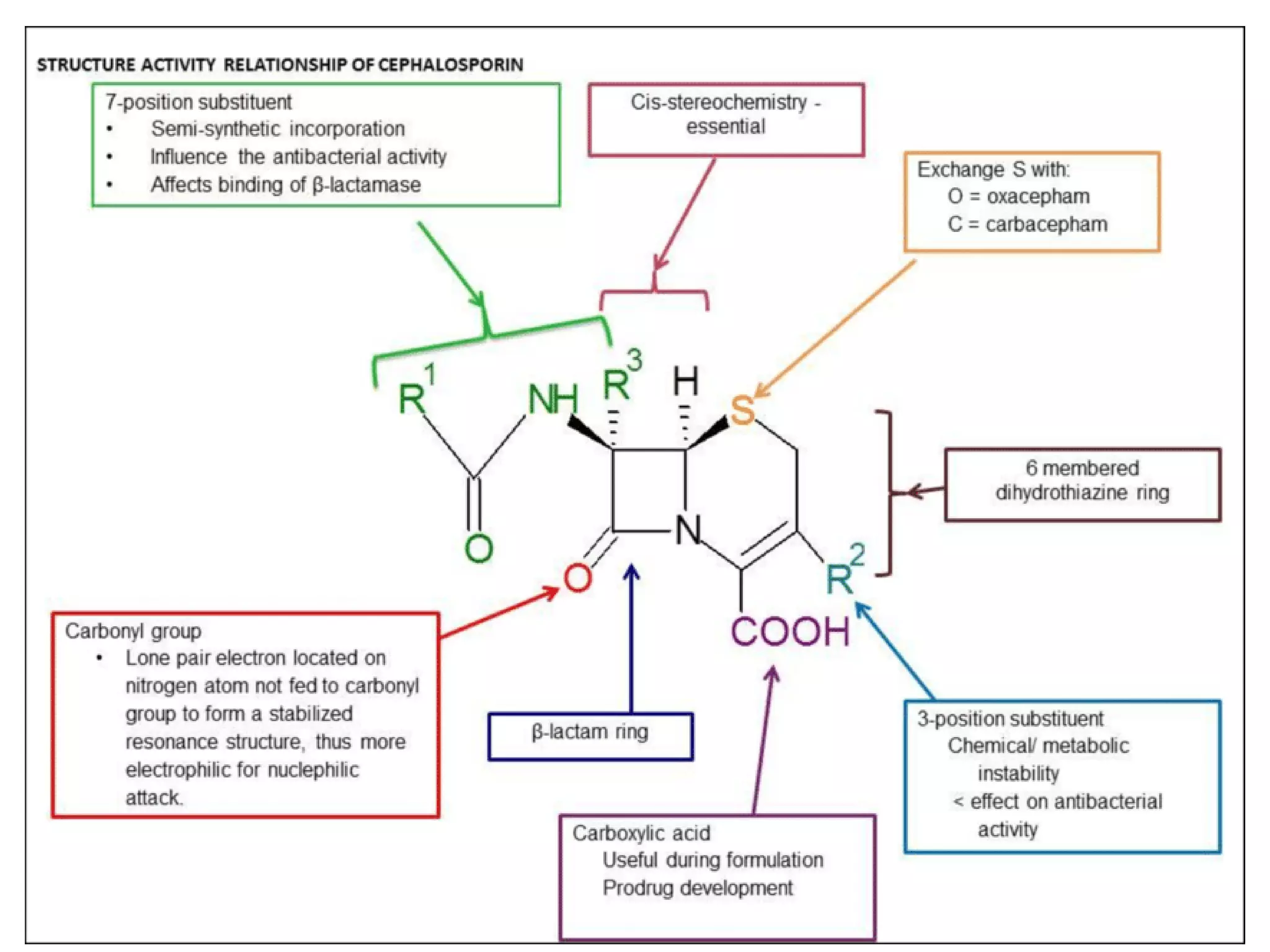 Third generation cephalosporins | PDF