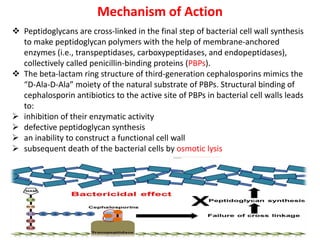 Third generation cephalosporins | PDF