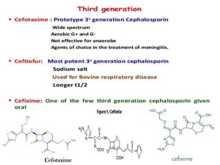 Third generation cephalosporins | PPT | Free Download