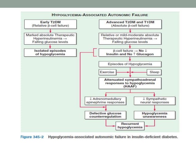 hypoglycemia | PPTX