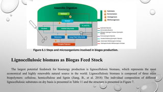 Microorganisms role in Waste Management and producing different Biomass ...