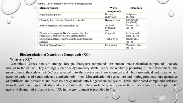 Microorganisms role in Waste Management and producing different Biomass ...