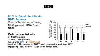 Coronavirus and NMD (nonsense mediated mRNA decay) | PPT