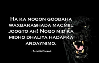 Ahmed Omaar Somali Quotes - Xikmad iyo Murti.pdf