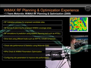 Experience & Qualification | PPT