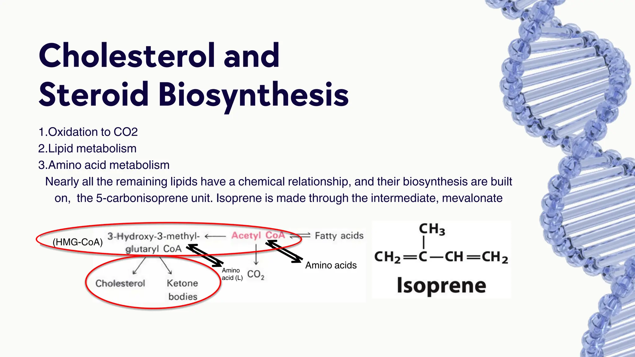 Biochemistry: Biosynthesis of Lipid - by Ahmed Quthb | PDF