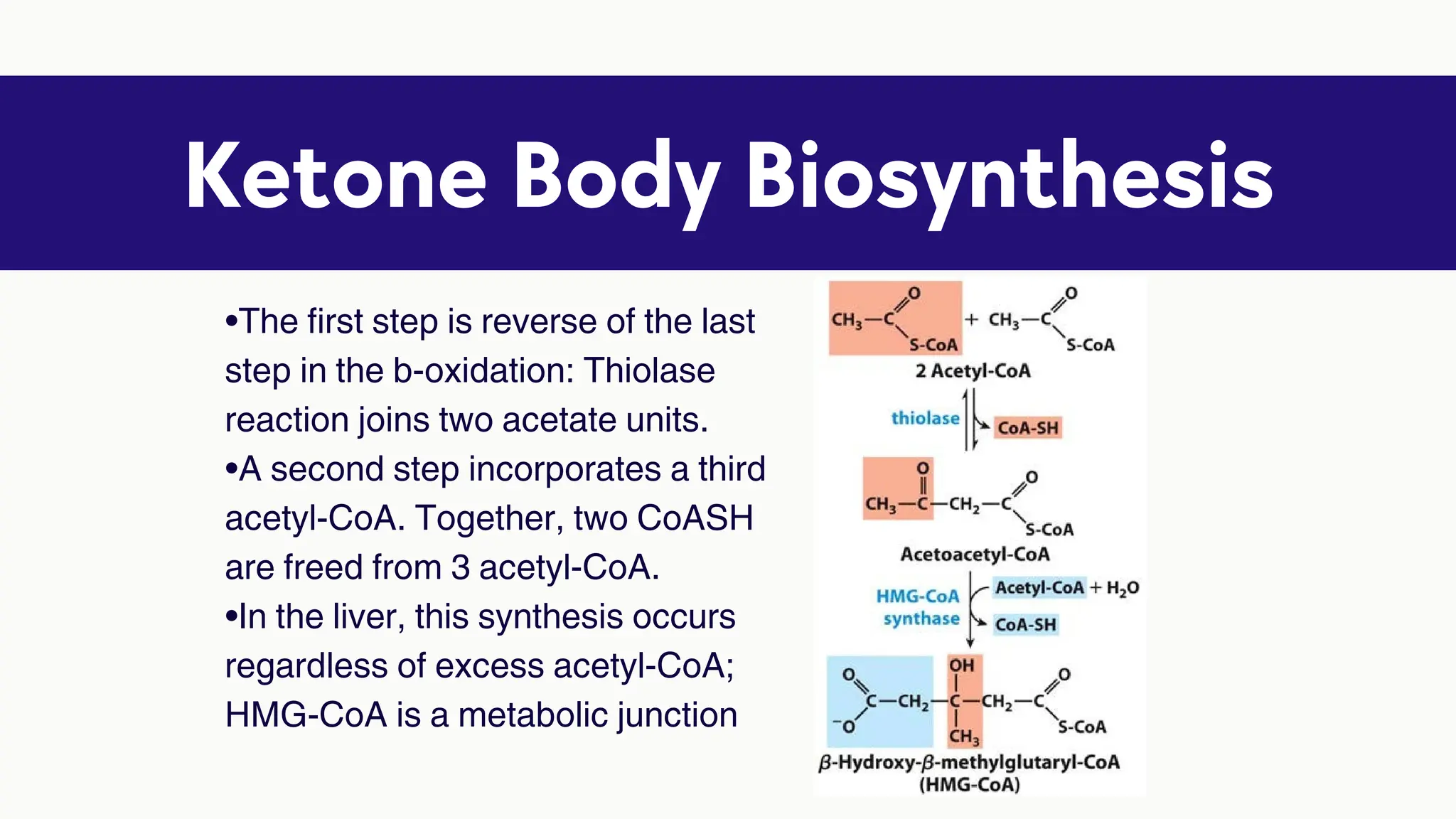 Biochemistry: Biosynthesis of Lipid - by Ahmed Quthb | PDF