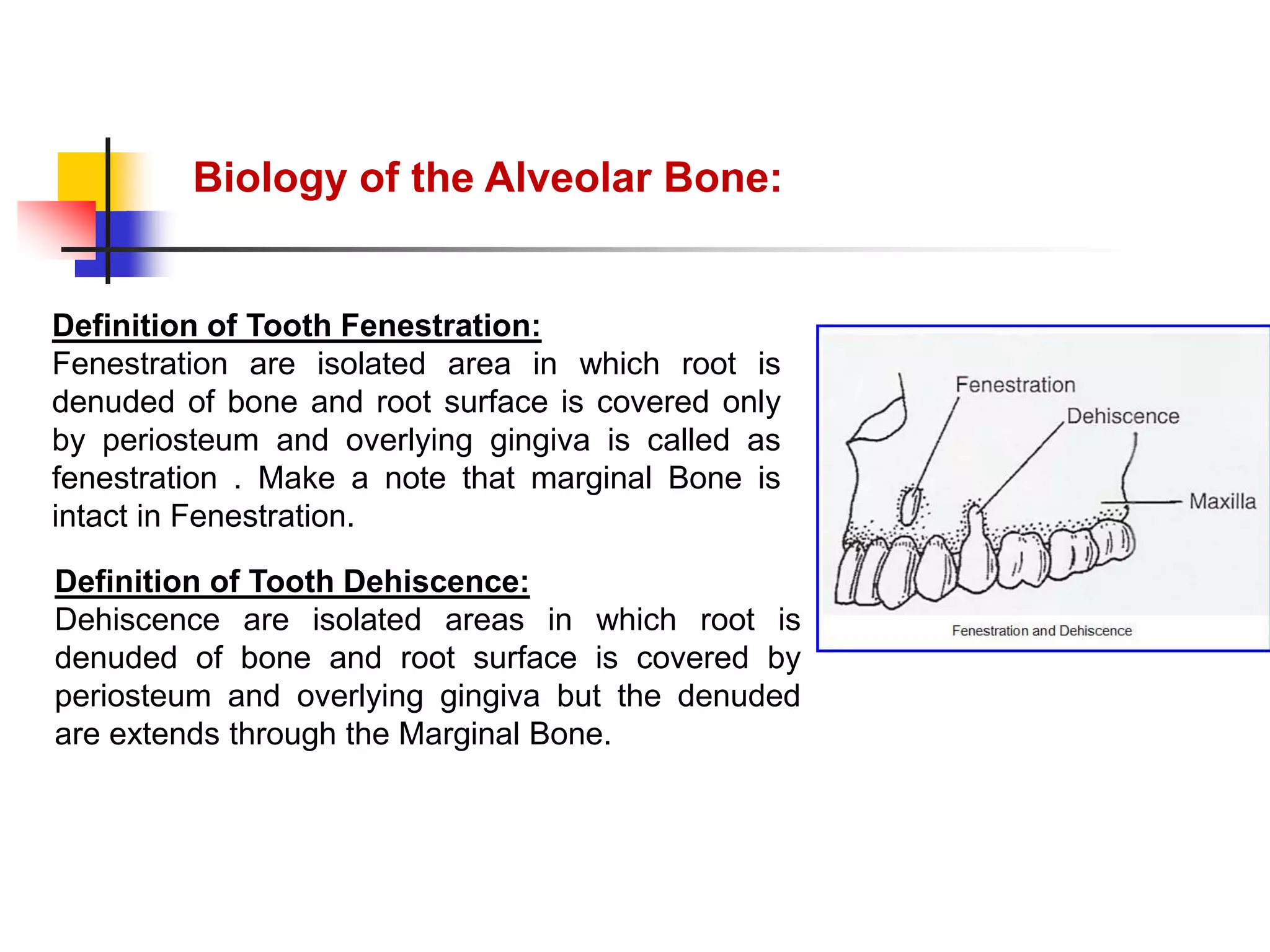 alveolar ridge expansion and socket preservation | PPT