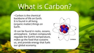Ahmers presentation about carbon cycle.pptx