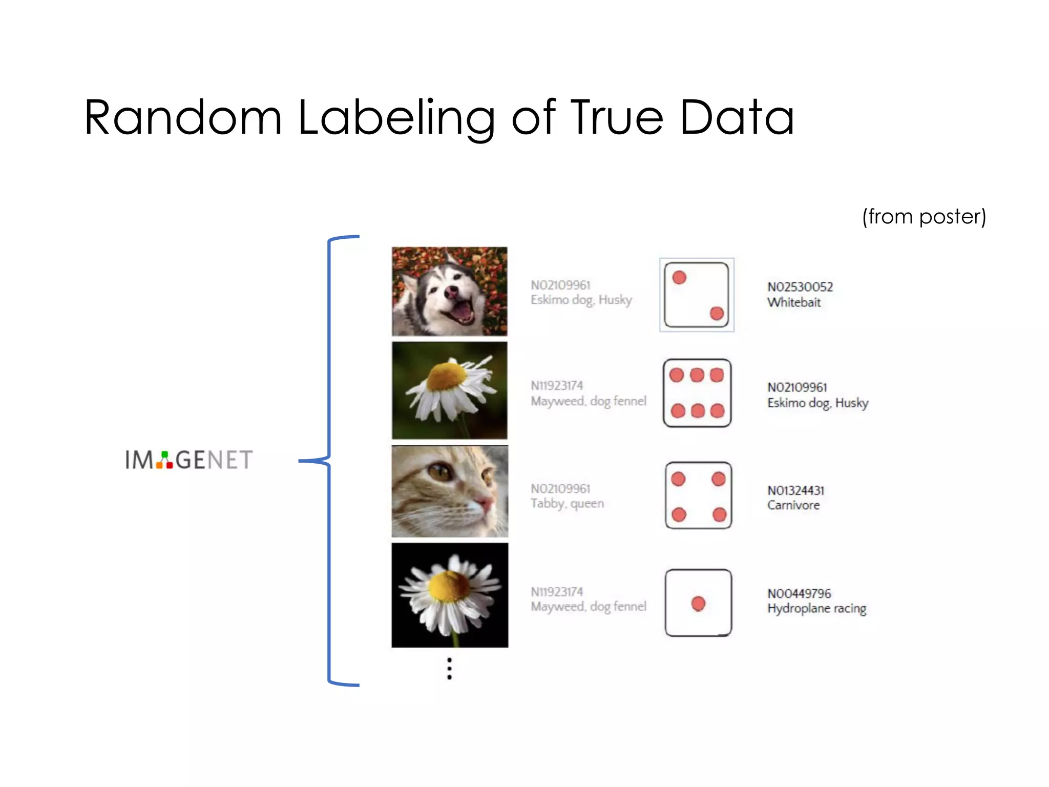 Understanding Deep Learning Requires Rethinking Generalization Pdf
