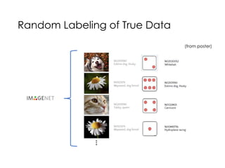 Understanding Deep Learning Requires Rethinking Generalization | PDF