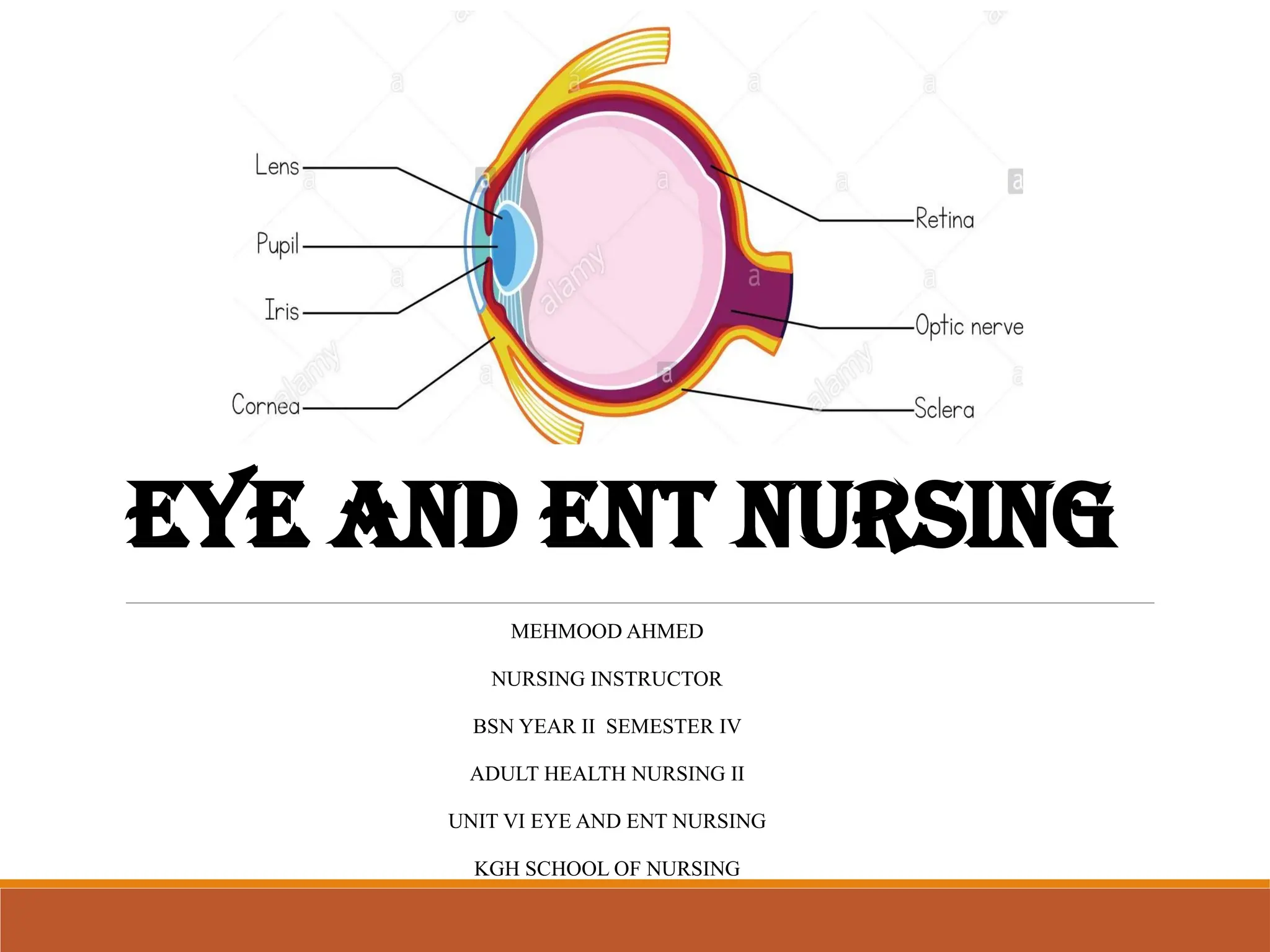 Adult Health Nursing unit eye and ear part 2.ppt