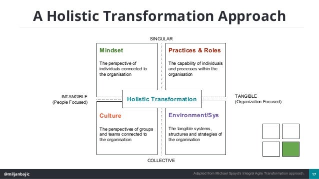 An Integral Agile Transformation Approach - Miljan Bajic