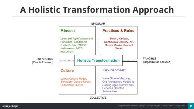 An Integral Agile Transformation Approach - Miljan Bajic