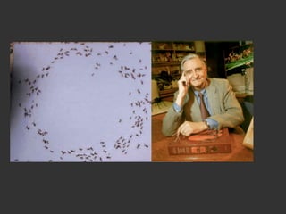 Example Pecha Kucha | PDF