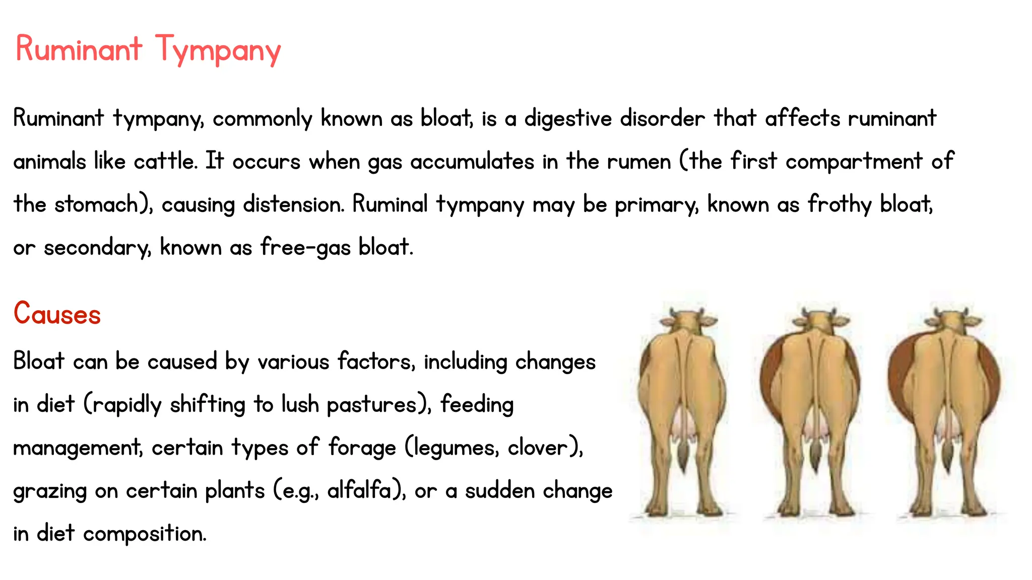 AH presentaton on disease of cattle causes,symptoms | PPTX