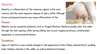 AH presentaton on disease of cattle causes,symptoms | PPTX