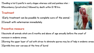 AH presentaton on disease of cattle causes,symptoms | PPTX