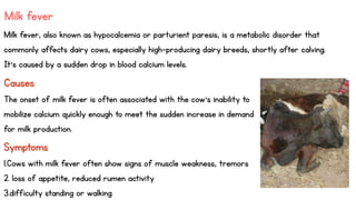 AH presentaton on disease of cattle causes,symptoms | PPTX