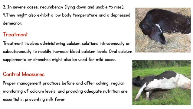 AH presentaton on disease of cattle causes,symptoms | PPTX