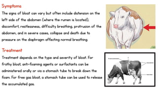AH presentaton on disease of cattle causes,symptoms | PPTX