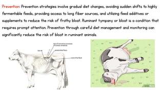 AH presentaton on disease of cattle causes,symptoms | PPTX
