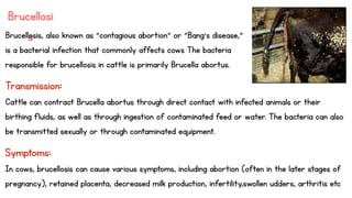 AH presentaton on disease of cattle causes,symptoms | PPTX