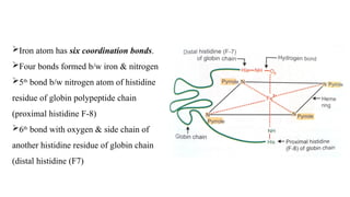 Chemistry of Hemoglobin (Types, Derivatives and Disorders) | PPTX