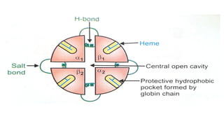 Chemistry of Hemoglobin (Types, Derivatives and Disorders) | PPTX