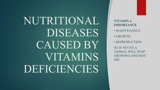 Nutritional Diseases Caused By Vitamins Deficiencies in Animals | PPTX