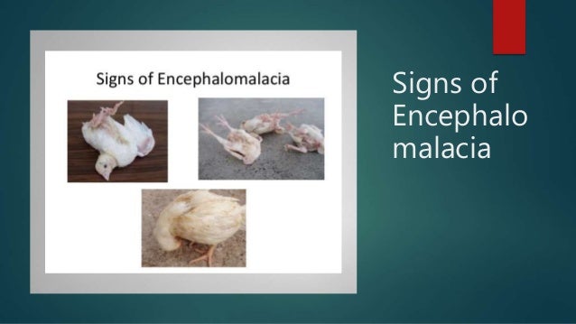 Nutritional Diseases Caused By Vitamins Deficiencies in Animals
